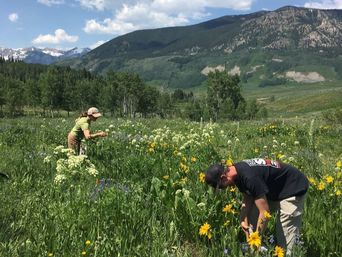 Graduate Students – UCCS Plant Ecology